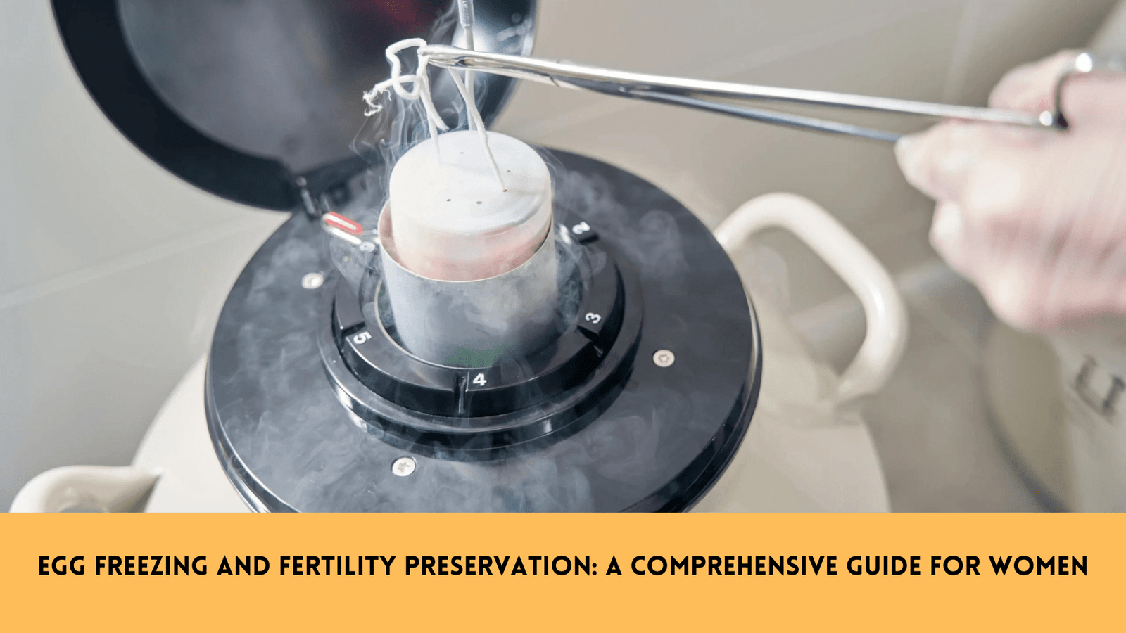 Egg Freezing and Fertility Preservation: A Comprehensive Guide