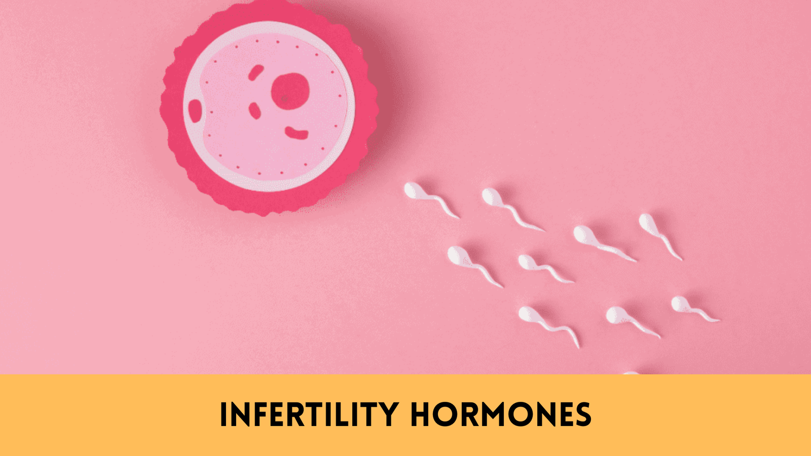Infertility Hormone: A Comprehensive Guide